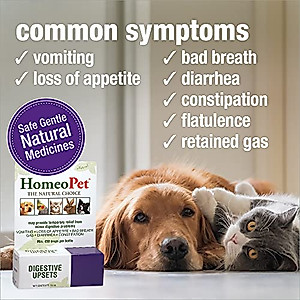 HomeoPet Digestive Upsets Natural Pet Digestive Support, Supports Temporary Relief from Digestive Problems, 15 Milliliters