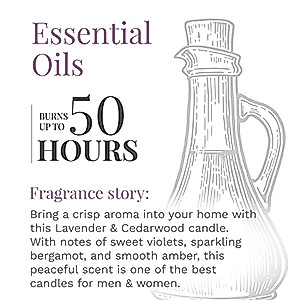 Essential Elements Lavender and Cedarwood Single-Wick Aromatherapy Candle with 50 Hours of Burn Time, 9 oz. Jar, Off White