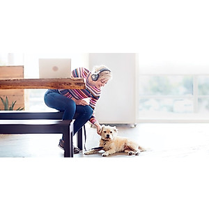 Plantronics 207120-21 Backbeat Pro 2 Special Edition - Wireless Noise Canceling Headphones