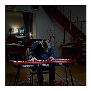 Nord Piano 5 73-Key Digital Piano Bundle with Adjustable Keyboard Stand, Adjustable Bench, Closed-Back Headphones, and 1/4-Inch TRS Cables (2-Pack) (6 Items)