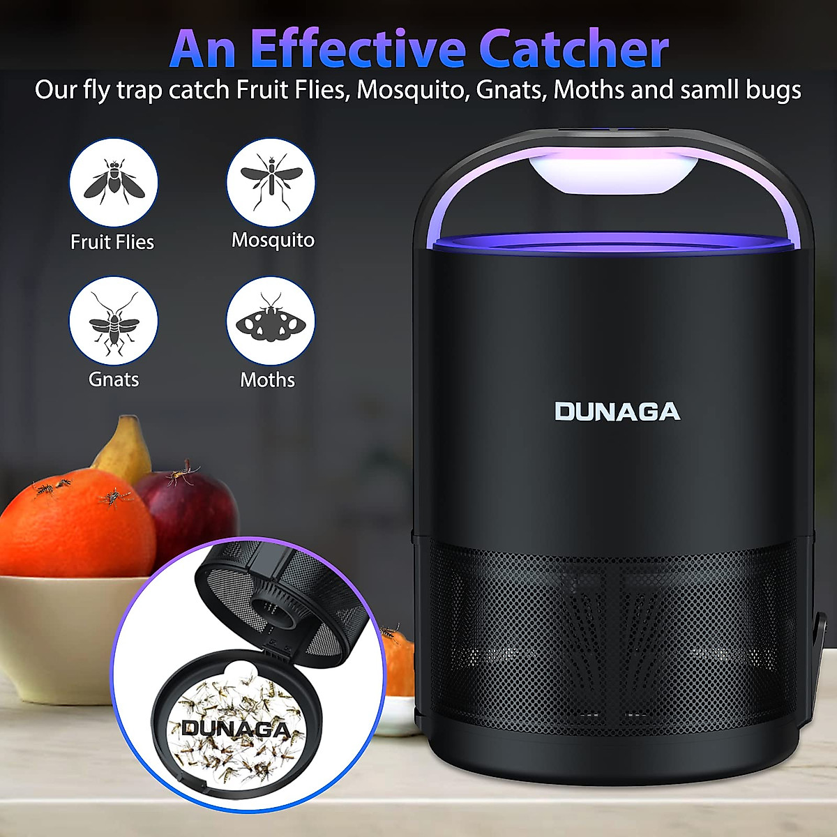 Fly Traps Indoor, Fruit Fly Traps, Gnat Traps, Mosquito Traps, Insect Traps Indoor with 10 Sticky Glue Boards, Black