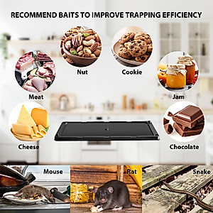 TRAP IT! Mouse Traps Indoor for Home, 12 Pack Pre-Baited Sticky Glue Traps for Mice & Rats, Larger Heavy Duty Adhesive Plastic Trays Pet Family Safe for Rodents, Snakes, Spiders, Lizards Pest Control