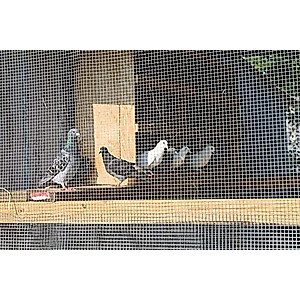 PS Direct Hardware Cloth - 36 inch x 10 Foot with 1/8 Inch Galvanized mesh 27 Gauge. Great for Chicken Wire, Fence or Animal Control. Craft Projects Fine Soil Sifting or Gardening Enclosures