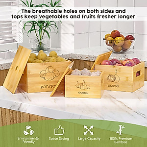 DALSHABET Potato and Onion Storage Bins, Premium Pantry Organizers and Storage, Bamboo Vegetable Garlic Keeper Solutions for an Organized Kitchen Beige