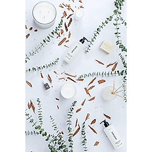 APOTHEKE Luxury Scented 3-Wick Jar Candle, White Vetiver, 32 oz - Large - Eucalyptus, Lilac, Vetiver, Amber & Cedarwood Scent, Strong Fragrance, Aromatherapy, Long Lasting, Hand Poured in USA