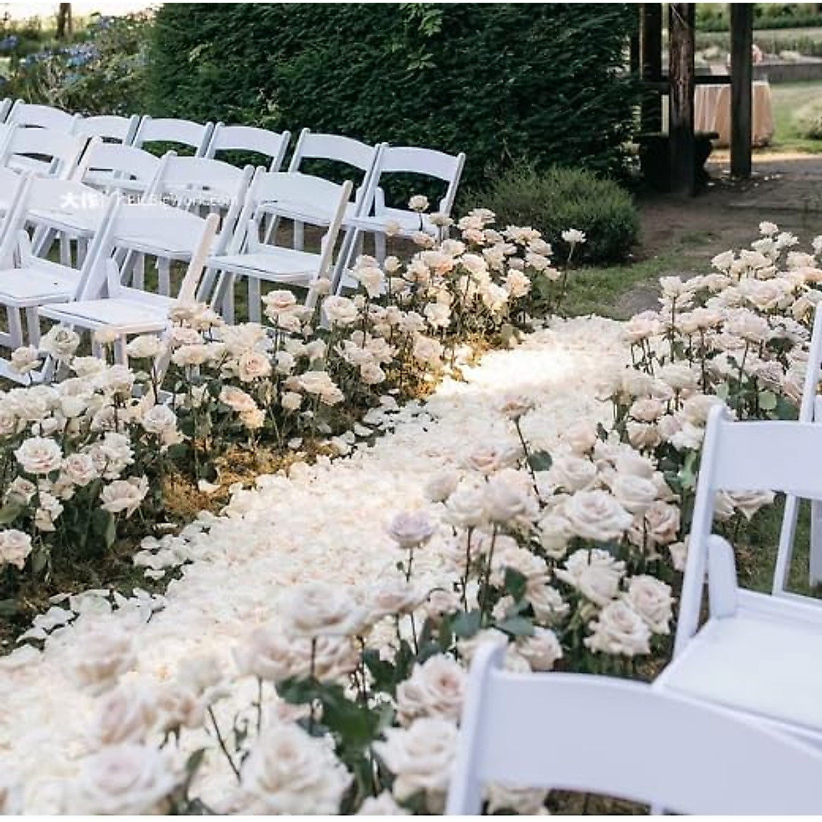 JUPOZOP 1000 PCS Artificial Fake Rose Petals for Wedding, Romantic Night for Her/Him Set, Engagement, Flower Decorations, Event, Party, in Bulk（Ivory）