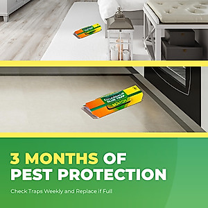 Roach Traps Indoor - 12 Pack Roach Bait Traps | Effective German Roach Killer for Home Infestation - Child and Pet Safe Roach Killer Indoor Infestation Easy-to-Use Glue Traps for Roaches – UCatch