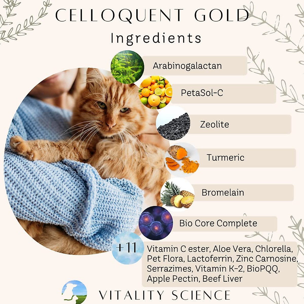 Vitality Science Celloquent Gold for Dogs | Holistic Advanced Immune Support Supplement | 17 Proven Ingredients | Auto Immune, Vomiting and Diarrhea, Depression (60g)