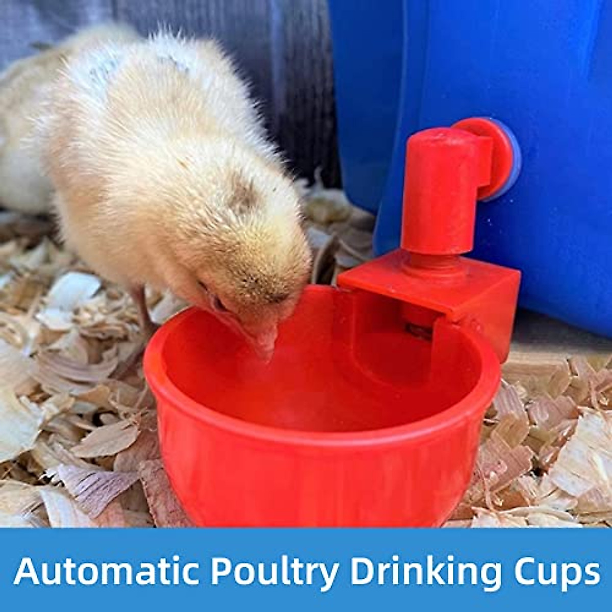 12 Pcs Chicken Waterer Cups Automatic Poultry Drinking Bowl Feeder, 1/8 Inch Thread Auto-Fill Drinking Bowl for Chicken Duck Turkey Bird Rabbit (Red)