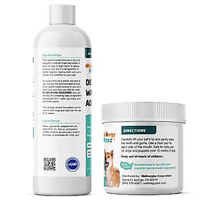 Wellnergy Pets Dental Care Combo for Dogs & Cats - Dental Water Additive 16 fl oz & Dental Wipes 100 Pads - Improves Oral Hygiene, No Brush Formula