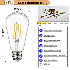 WTL Vintage Edison Light Bulb 6W(60 Watt Equivalent) 2700K Soft White,Dimmable,ST19（ST58） LED Filament Bulb,Clear Glass Light Bulb E26 Medium Base,600LM(6 Pack)