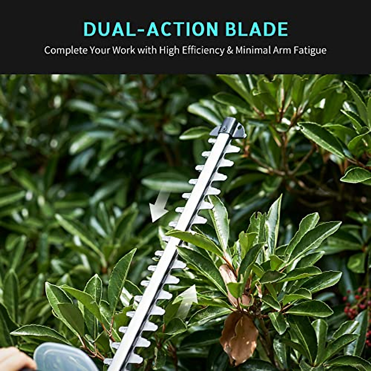 TERRADISE Cordless Hedge Trimmer with 2000mAh Battery Pack and Charger, Gardening Tool for Brush and Hedge Trimming, Electric Bush Cutter with 20" Dual Action Blades for Tree Branches Shrubs More