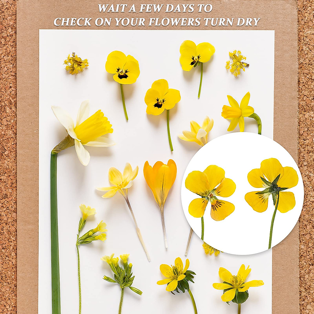 Aboofx 20 Sheets Blotting Paper for Flower Press, Large A4 Highly Absorbent and Reusable Blotter Paper for Flower Press Herbarium Paper Craft 8.26 x 11.8 inch Blotter Paper Sheets