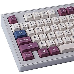 Tsungup PBT Keycaps, 145 Keys Cherry Profile Classic Game Console Keycaps Dye Sublimation with Japanese Keycaps 6.25U 7U Spacebar for Cherry MX Switches Mechanical Keyboards