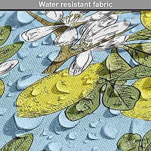 Ambesonne Botanical Fabric by The Yard, Fresh Lemon Patterns with Blossoms and Branches Botanical Spring Art, Decorative Fabric for Upholstery and Home Accents, 2 Yards, Yellow Blue