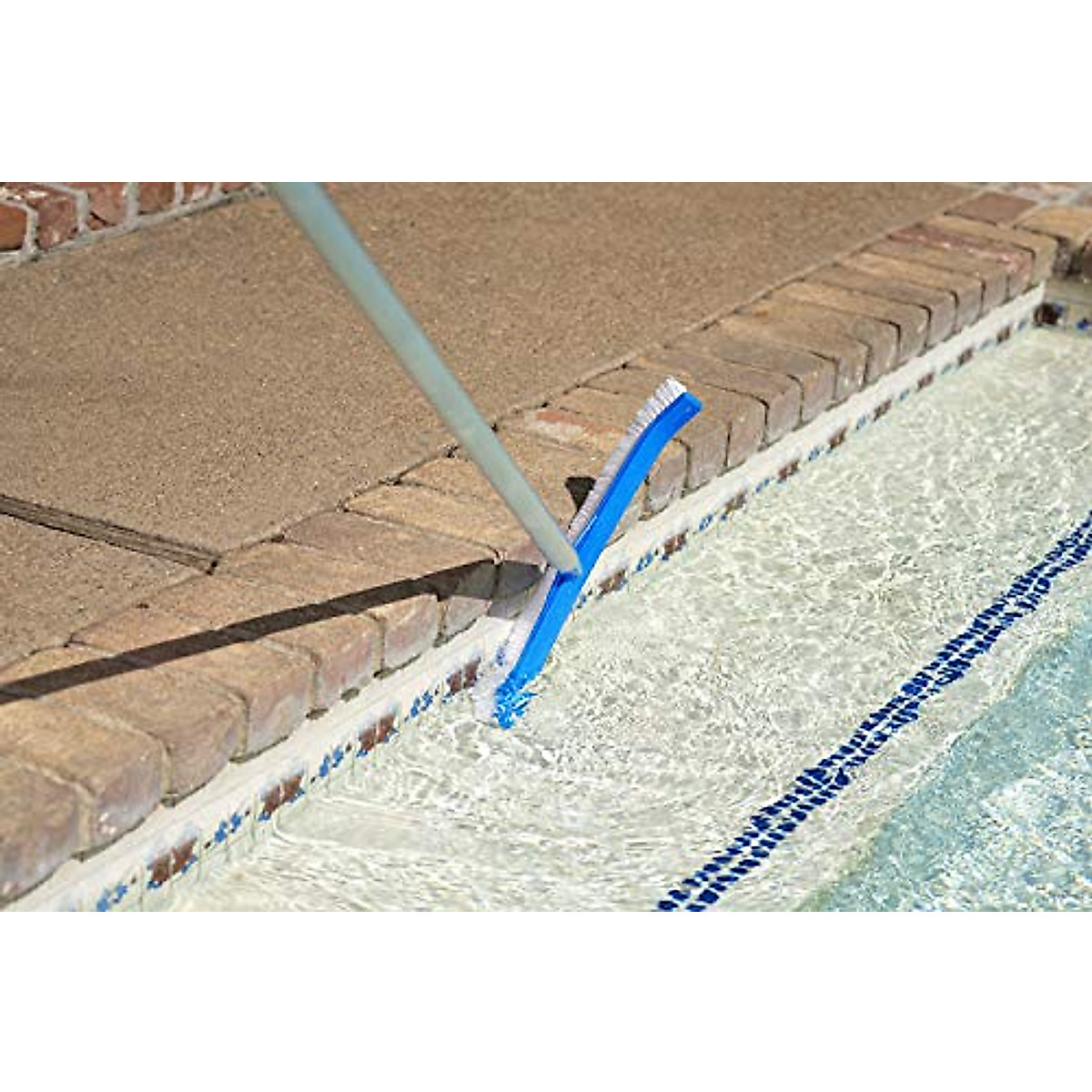 Poolmaster 18100 Curved Swimming Pool Brush Head, 17.5-Inches, Essential Collection, Blue