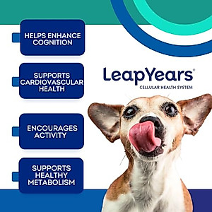 Leap Years Soft Chew Dog Supplement – Clinically Proven Daily NAD & Senolytic Formula; Support Cognition, Vitality & Healthy Cellular Aging; Beef Flavor (Small/Medium Breed (<54 lbs))
