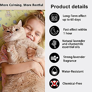 Wustentre 3 Pack Calming Collar for Cats, Cat Calming Collars, Cat Pheromones Calming Collar, Adjustable Cat Anxiety Collar for Cats and Kittens Stress Reliever Relaxing Comfortable Collar (Violet)