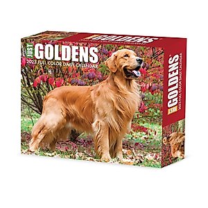 Goldens 2023 Box Calendar