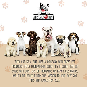 Premium Pet Anti Itch Spray & Scent Freshener! Quality Ingredients & Hypoallergenic! Soothes Dogs & Cats Hot Spots, Itchy, Dry, Irritated Skin! Reduces Odor & Allergy Relief! Smells Amazing! (1 btl)