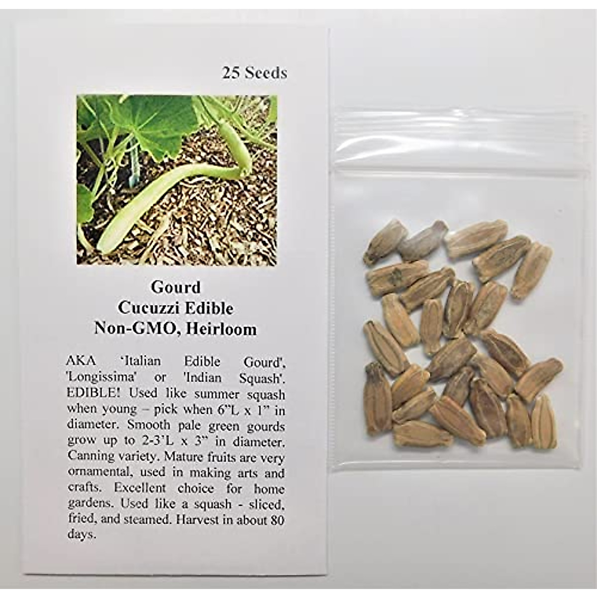 David's Garden Seeds Gourd Cucuzzi Edible 8874 (Green) 25 Non-GMO, Heirloom Seeds