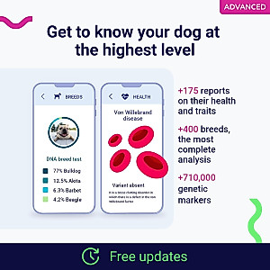 tellmeGen Koko Genetics DNA Test for Dogs Advanced - Analyzes +400 Breeds and +175 Health & Traits Reports
