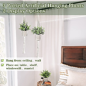 Artificial Plants 3 Pack Mini Fake Plants Fake Hanging Plants Artificial Decor with 3 Macrame Plant Hangers Decorative Plants Faux Hanging Plants Greenery Decor for Wall Kitchen Bathroom Home Office