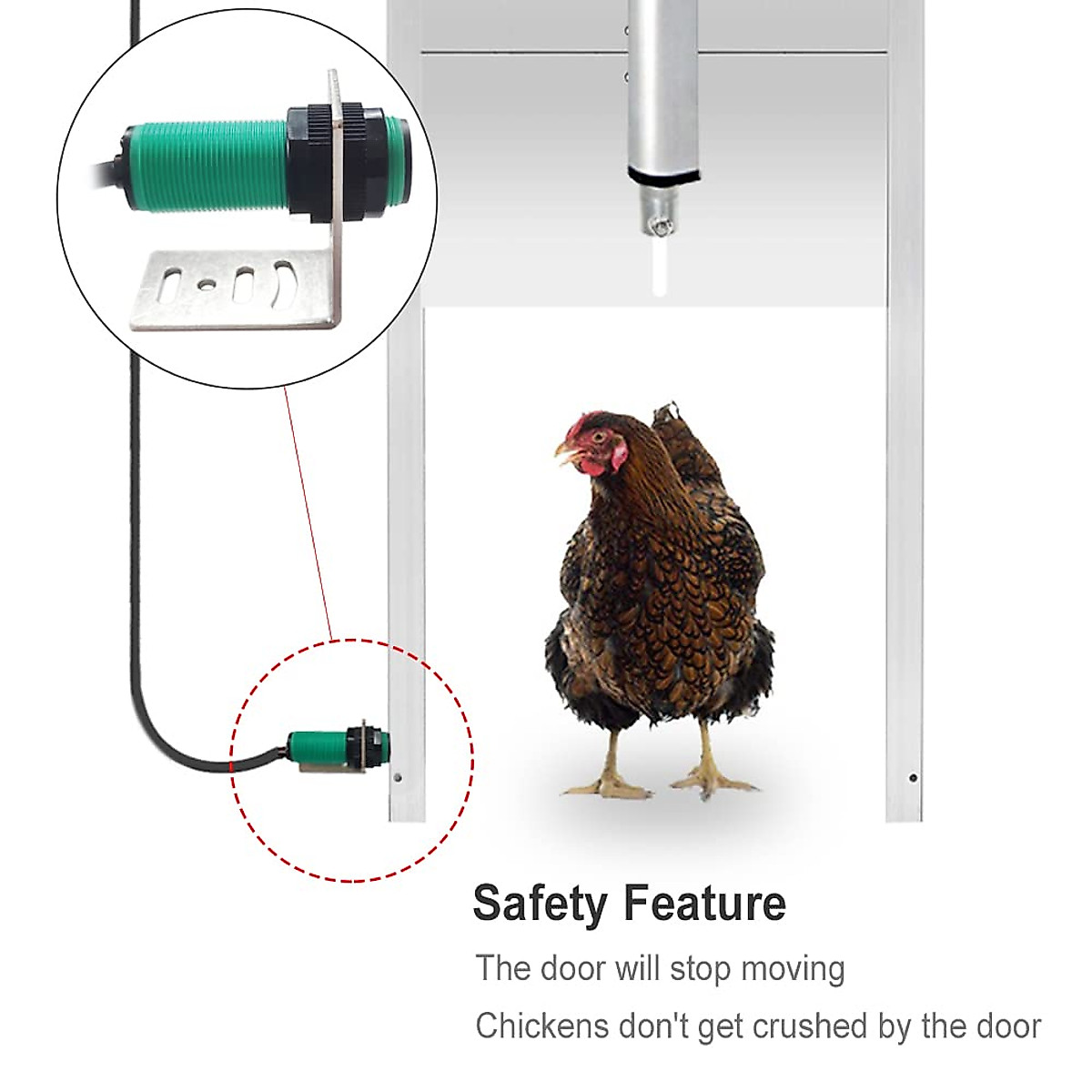 JVR Chicken Coop Door Automatic Smart 2.4 GHz WIFI Opener with Safety Mechanism, Work With Alexa & Google Assistant, Rainproof Sunrise/Sunset Timer Controller Actuator Motor APP/Remote (Smart Version)