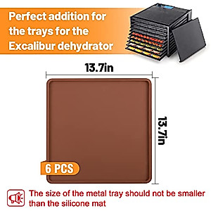 6 Pcs Silicone Dehydrator Sheets with Edge for 14" x 14" Trays, Non-stick Silicone Tray Liner for Excalibur Dehydrator, Reusable Dehydrator Mats Square Dryer Mats for Fruits Meat Vegetables Herbs