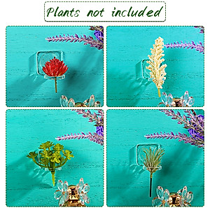 24 Pcs Air Plants Holder, Acrylic Air Plant Hanger with Mounting Tape for Hanging Air Plants on Glass Display Home Decoration, Plants Not Included