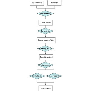 Akersunder Phenylpiracetam Powder, Purity 99.9+%, 5 Grams. Include 100mg Scoop