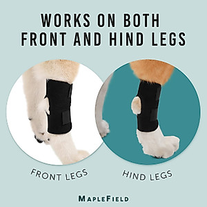 Maplefield - Dog Leg Brace - Rear Hock Hind Leg Support for Canines - Helps Promote Healing and Rehabilitation, Prevents Injuries, and Helps with Arthritis (XS)