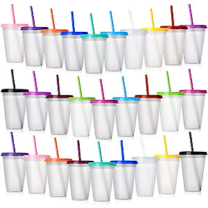 Hsei Clear Plastic Tumbler with Straw and Lid Bulk Water Bottle Iced Coffee Travel Mug Cup with Lid and Straw Reusable Plastic Cups for Kids Christmas Water Smoothie Party Birthday (28 Pack,16 oz)