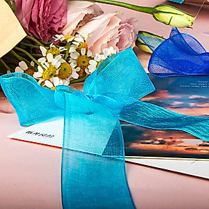 SOFIRE 6 Roll 1 Inch Wide Blue Organza Ribbon Christmas Ribbon Sheer Chiffon Ribbon for Gift Wrapping(Blue)