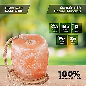 Himalayan Salt Lick 6 LbsPack of 4 | Himalayan Licking Salt Block for Animals with Minerals | 100% Himalayan Pink Licking Salt Licks for Cows, Goats, Deer, Cattles & Horses on Rope