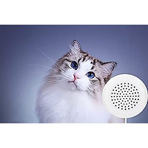 2PCS Pillow Speaker,3.5mm Jack Portable Speaker, Under Pillow Speaker Compatible with Almost All Audio Devices with 3.5 mm Jack Such as MP3, MP4, CD Player, Mobile Phone etc.