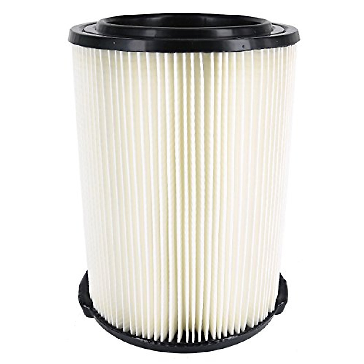 Ridgid VF4200 Genuine Replacement 1-Layer Everyday Dirt Wet/Dry Vac Filter for Ridgid 5-20 Gallon Vacuums (2 pack VF4000)