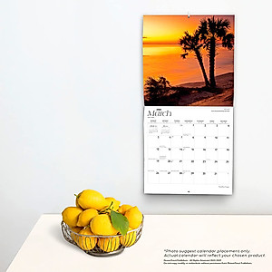 Carolina Coast | 2023 12 x 24 Inch Monthly Square Wall Calendar | Foil Stamped Cover | BrownTrout | USA United States of America Southeast State Nature