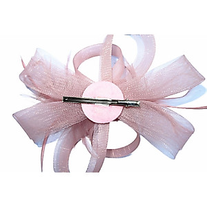 Litter Star Fashion Kentucky Derby Fascinators Hat Pillbox Cocktail Tea Patry Headband Veil Headwaer Hat Wedding for Women (Mesh-Dark Pink)