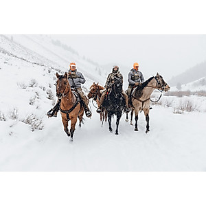 First Lite Midweight Merino Wool Neck Gaiter - Warm Hunting Face Mask - Conifer - One Size