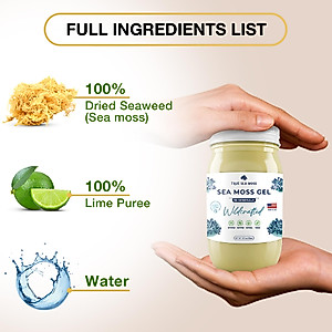 TrueSeaMoss Wildcrafted Irish Sea Moss Gel - Made with Dried Seaweed - Seamoss, Vegan-Friendly, - Antioxidant Supports Thyroid & Digestion - Made in USA (Original, Pack of 1)