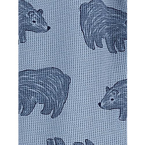 Simple Joys by Carter's Baby Boys' 2-Way Zip Thermal Footed Sleep and Play, Pack of 2, Dusty Blue Bear/Ivory Dinosaur, 3-6 Months