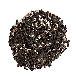 Wagner's 62032 Cardinal Blend Wild Bird Food, 6-Pound Bag