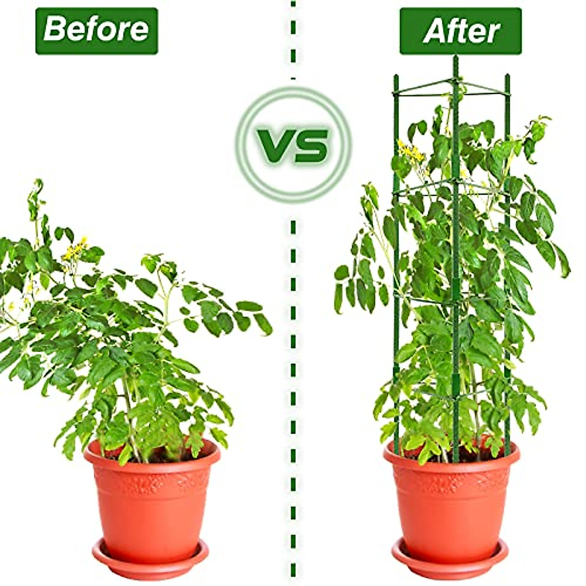 Legigo 4ft 4-Pack Tomato Cage for Garden Plant Support- Up to 48inch Garden Stakes Tomato Cage, Tomato Trellis for Potted Plants, Tomato Cages Plant Stakes for Climbing Vegetables Plants Flowers