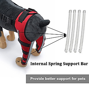 Dog Knee Brace Adjustable Dog Double Rear Leg Brace with Metal Hinged Flexible Support and Reflective Seat Belts Dog Acl Brace Hind Leg Red (M)
