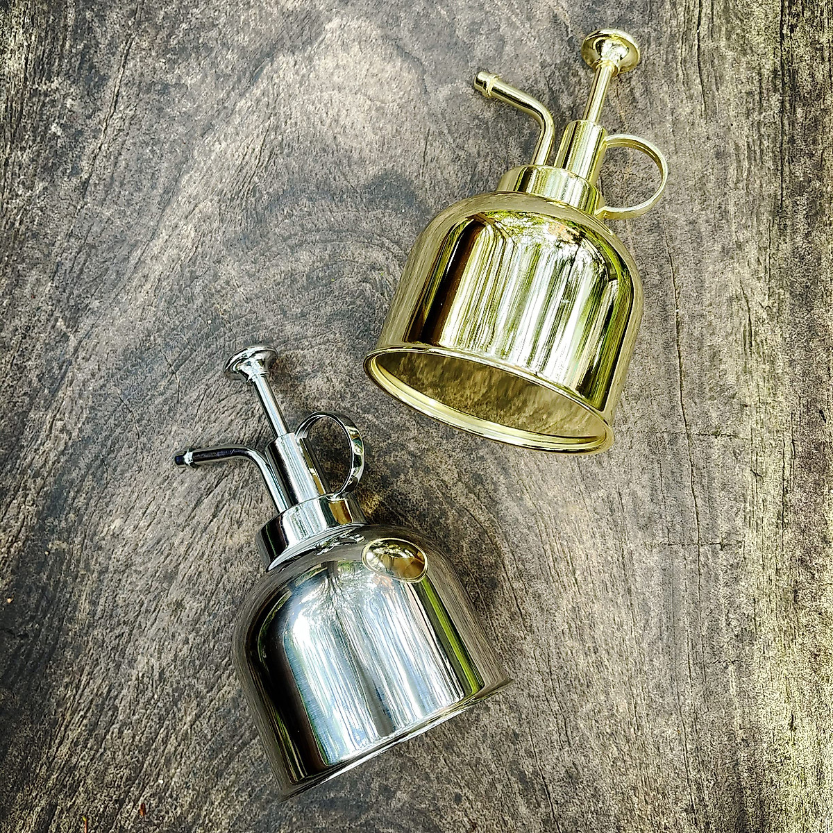 LOOPSEED Plant Mister Spray Bottle Stainless Steel Watering Can for Indoor Plants Succulent Bonsai Garden Houseplant Spritzer Modern Garden Tools 10oz/300ml (Silver)