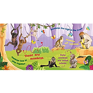 First Animal Facts: Safari-5 Button Animal Sounds Book