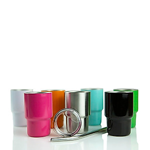 Hogg 3oz Tumbler Shot Glasses in Multiple Colors with lid and stainless straw (6 Pack), DIY, Customizable, Reusable, Single Wall Insulated, Stainless Steel