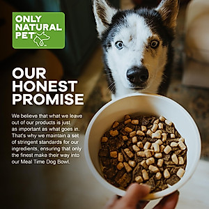 Only Natural Pet Meal Time Pet Bowl Dog Food Bowl - 50% Plant-Based, Eco-Friendly, BPA & Phthalate-Free, No-Slip Bottom, Dishwasher Safe, Ideal for Large-Sized Dogs - Teal, Large 7.5" x 2"