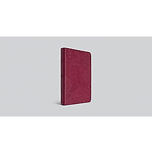 ESV Large Print Value Thinline Bible (TruTone, Raspberry, Floral Design)